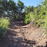 Tanner Trail, Colorado - 115 Reviews, Map | AllTrails