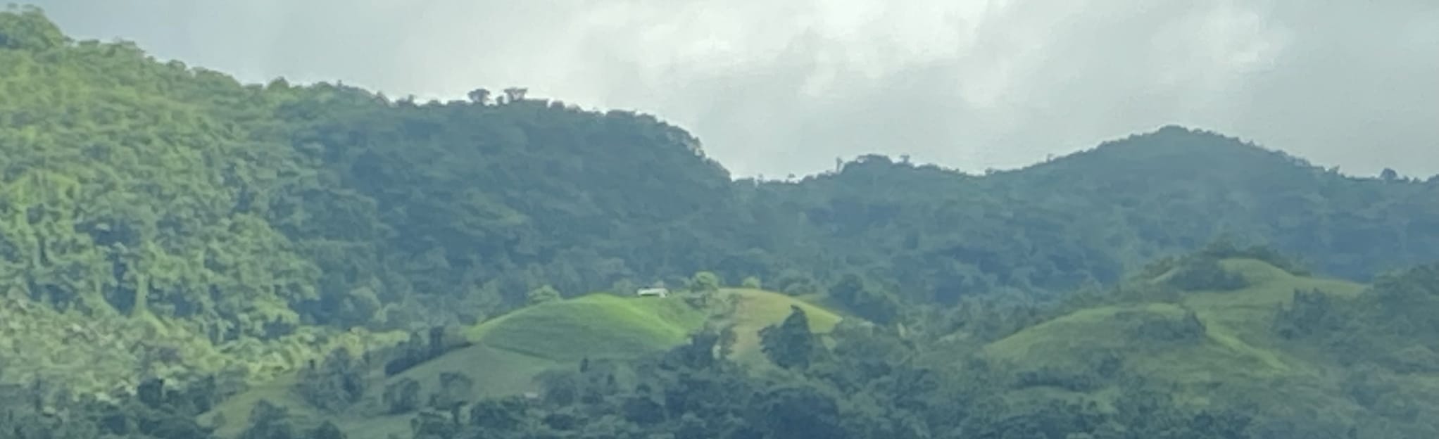 Mt. Kapayas in Catmon, Cebu, Philippines - Map, Guide | AllTrails