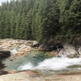 Hector Ferguson Lake Trail [CLOSED], British Columbia, Canada - 50 ...