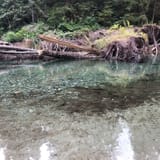 Hector Ferguson Lake Trail [CLOSED], British Columbia, Canada - 50 ...