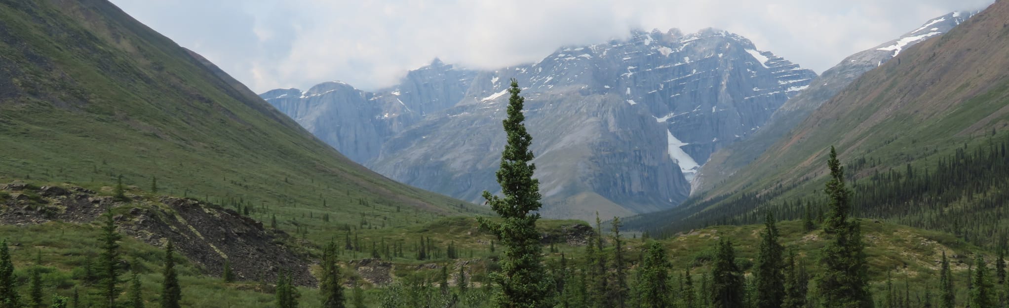 Mount McDonald from Snake River: 1 Reviews, Map - Yukon, Canada | AllTrails