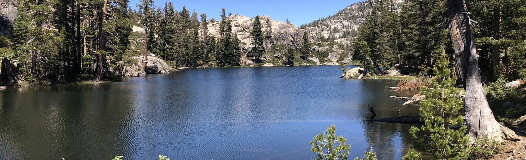 Crabtree Trail to Bear Lake, California - 818 Reviews, Map | AllTrails