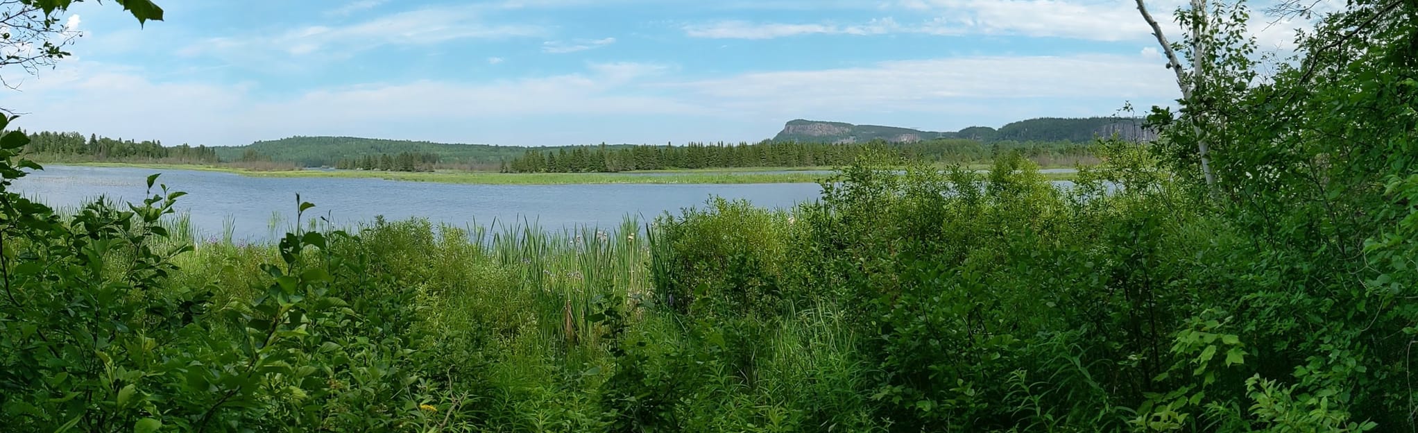 Nipigon River Trail, Ontario, Canada - 16 Reviews, Map | AllTrails