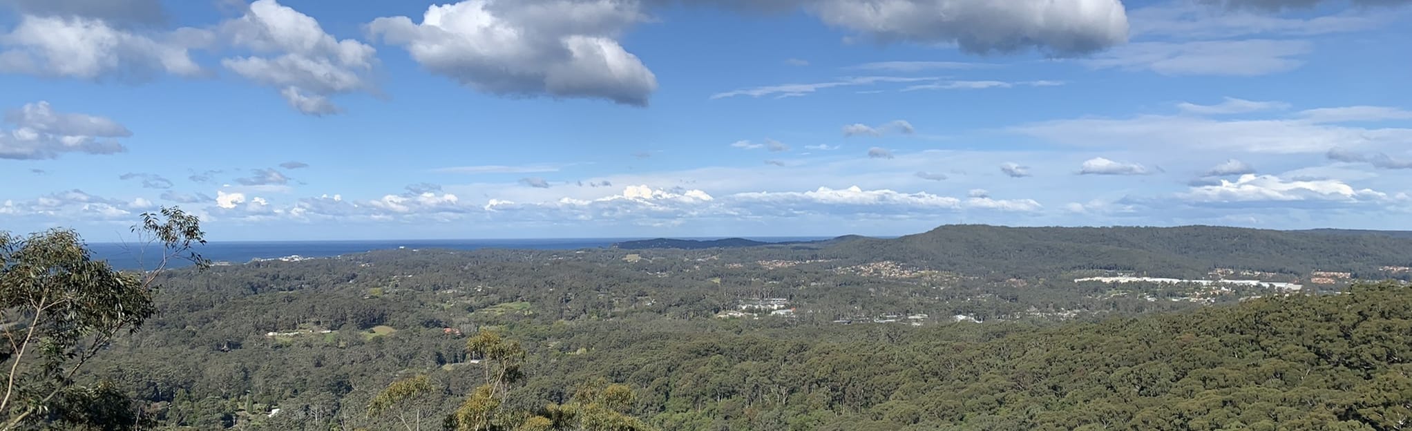 Mount Elliot via Moaut Trail: 70 Reviews, Map - New South Wales ...