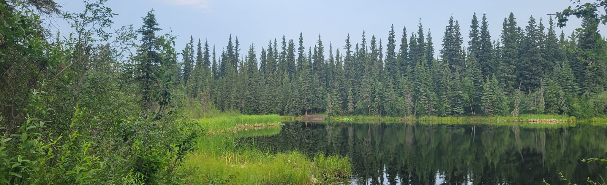 Ballaine Lake, Estle Connector, Baseline Classic Loop: 64 Reviews, Map ...