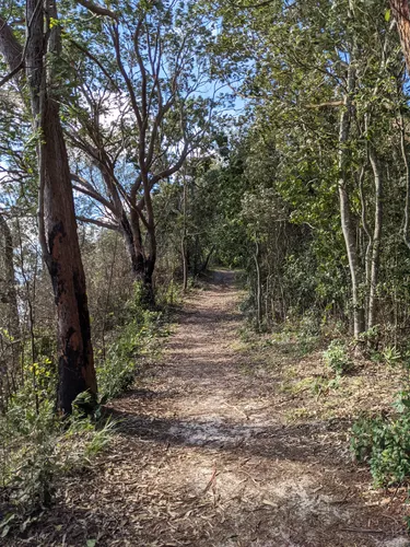 Best 10 Hikes and Trails in Jilliby State Conservation Area | AllTrails