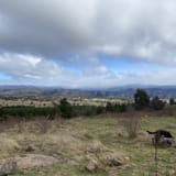 Narrabundah Hill, Australian Capital Territory, Australia - 150 Reviews ...