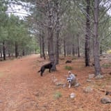 Narrabundah Hill, Australian Capital Territory, Australia - 150 Reviews ...