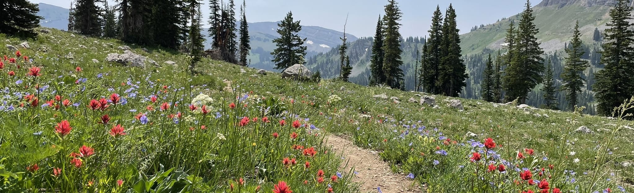 AllTrails | Teton Village to Marion Lake via Granite Canyon: 24 Reviews ...