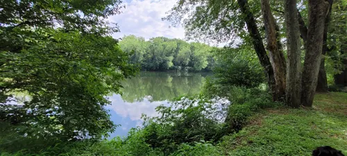 Best Hikes and Trails in Green Ridge State Forest | AllTrails