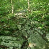 Lehigh Gap via Appalachian Trail, Pennsylvania - 281 Reviews, Map ...