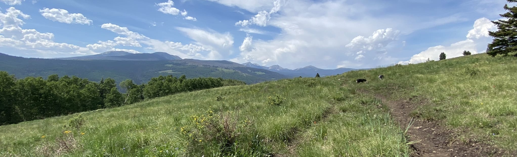 Truchas Peak Loop: 14 Reviews, Map - New Mexico | AllTrails