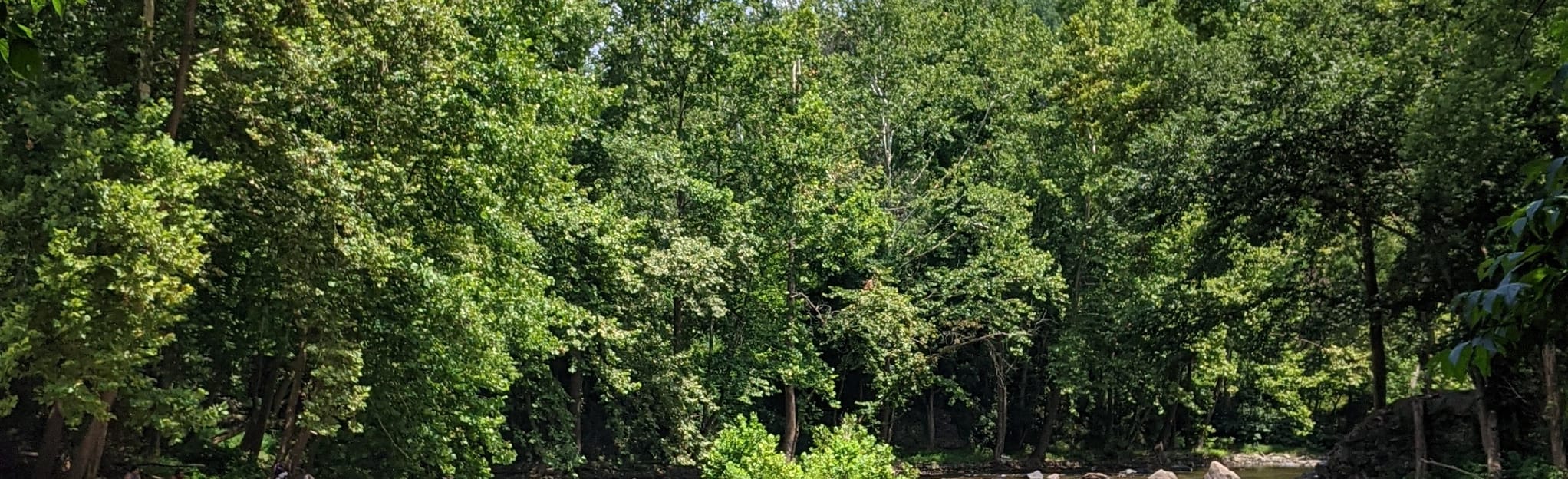 Rockburn Branch Trail Loop, Maryland - 245 Reviews, Map | AllTrails