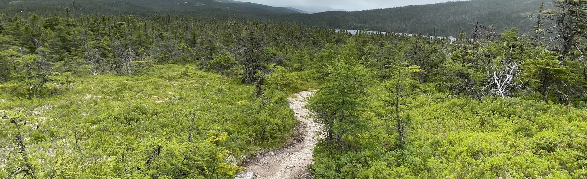 Peters Pond and Pegwood Pond: 17 Reviews, Map - Newfoundland and ...