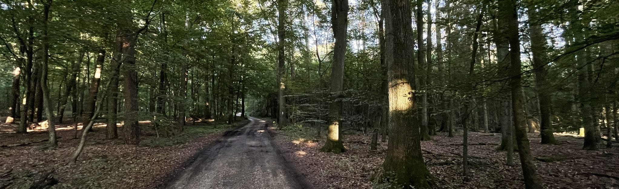 Hardter Wald Mönchengladbach