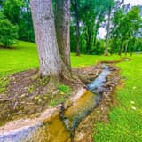 Huron River Path MetroPark, Ohio - 81 Reviews, Map | AllTrails