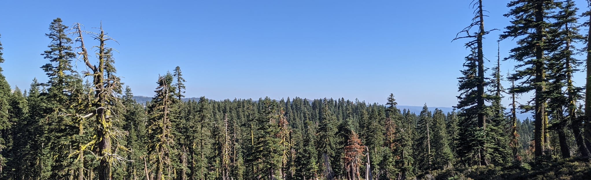 Shadow Lake Trail, California - 48 Reviews, Map | AllTrails