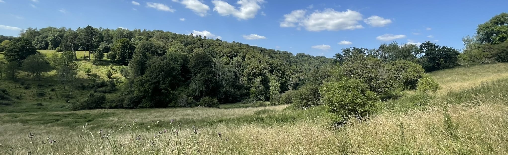 Chalford - Daneway - Sapperton - Pinbury Circular, Gloucestershire ...