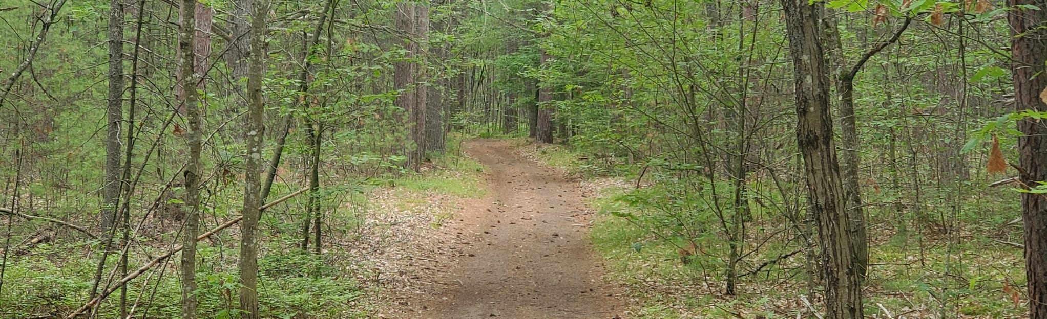 Macomb State Park Trail, 24 Fotos - New York | AllTrails