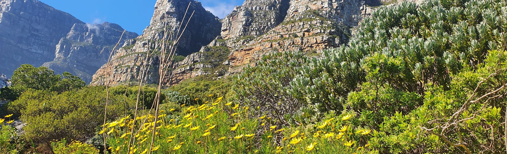 Pipe Track from Kloof Nek, Western Cape, South Africa - 365 Reviews ...
