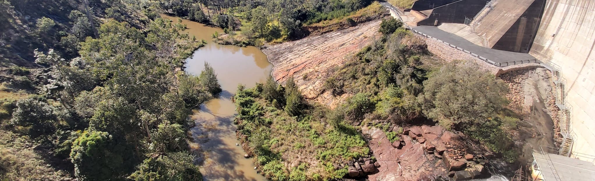 AllTrails | Whipbird, Wagtail and Echidna Loop: 16 Reviews, Map - Queensland, Australia