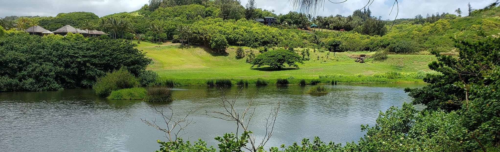 Rock Quarry Beach, Kaua'i, Hawaii - 39 Reviews, Map | AllTrails