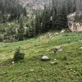Fancy Pass Trail, Colorado - 252 Reviews, Map | AllTrails