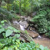 Roaring Run Trail, Pennsylvania - 479 Reviews, Map | AllTrails