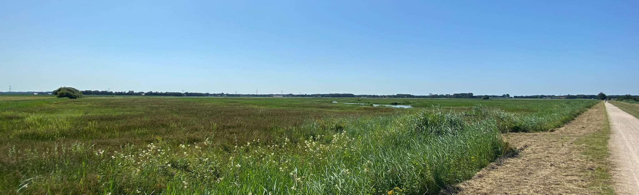 Den Hout - Linie - Kooibos: 12 foto's - Noord-Brabant, Nederland ...