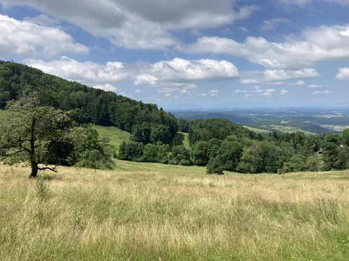 10 Best Trails and Hikes in Basel Country | AllTrails