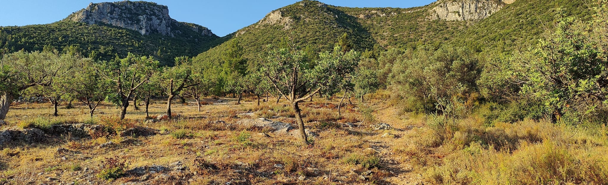 Leonidio - Merochoro Hill - Profitis Ilias Loop | Map, Guide ...