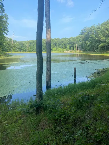 Best Walking Trails in Norman | AllTrails