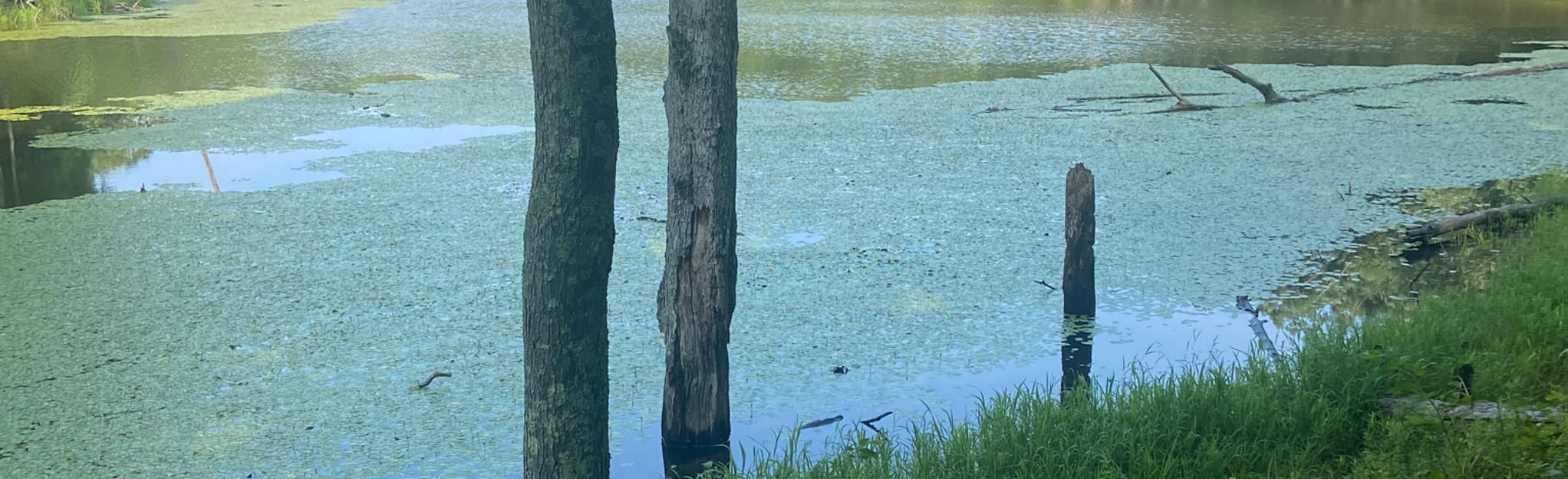 Grouse Hollow Lake, Indiana - 6 Reviews, Map | AllTrails