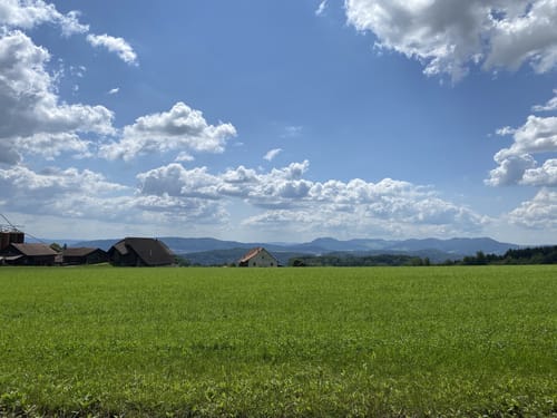 Best Hikes and Trails in Turgi | AllTrails