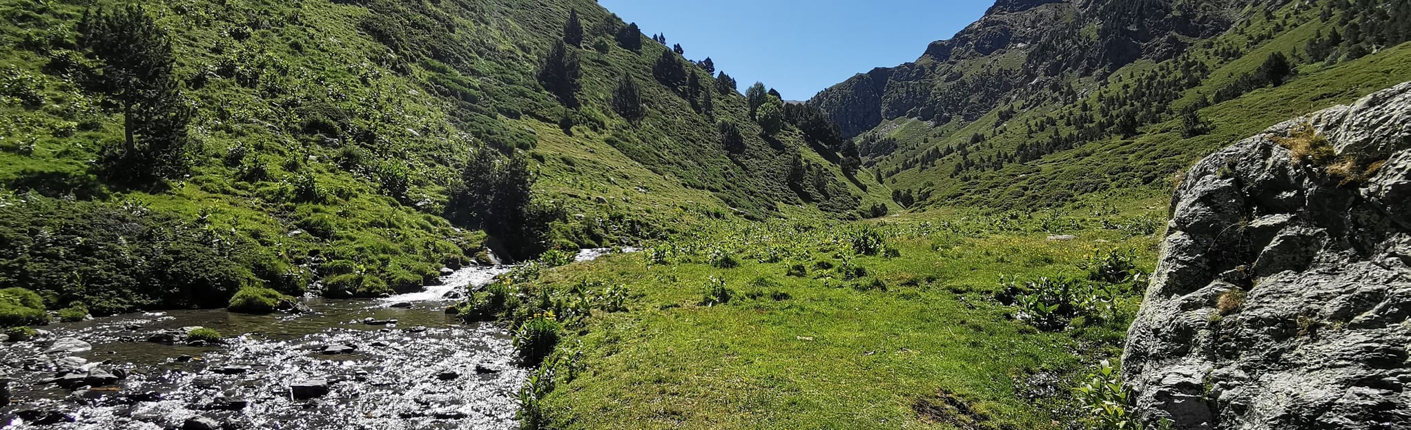 Réserve Naturelle de la Vallée d'Eyne : 161 Photos - Pyrénées ...