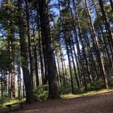 Huff and Puff Park Loop, Washington - 90 Reviews, Map | AllTrails