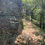 Levis/Trow Mounds Trail, Wisconsin - 268 Reviews, Map | AllTrails