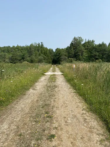 Best 10 Hiking Trails in Luther Marsh Conservation Area | AllTrails