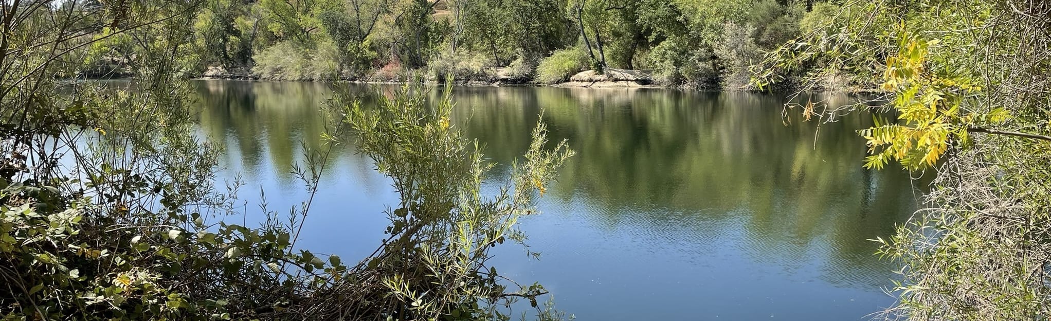 Shadow Cliffs Loop, California - 131 Reviews, Map | AllTrails