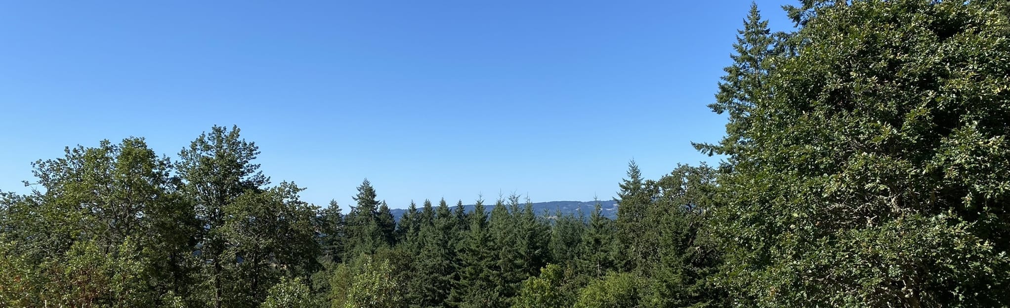 Cooper Mountain Loop, Oregon - 1,415 Reviews, Map | AllTrails