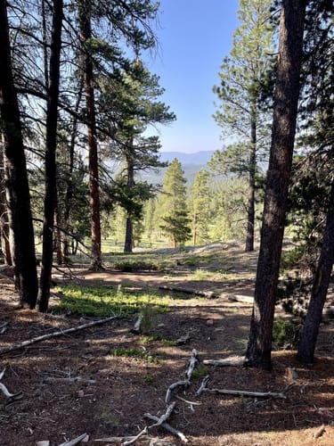 10 Best Hikes and Trails in State Forest State Park | AllTrails