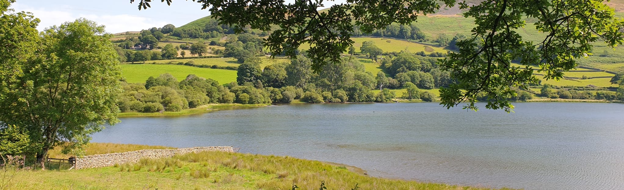 Loweswater and Holme Wood Circular, Cumbria, England - 19 Reviews, Map ...