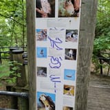 Hackensack River County Park Trail, New Jersey - 53 Reviews, Map ...