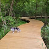 Hackensack River County Park Trail, New Jersey - 53 Reviews, Map ...