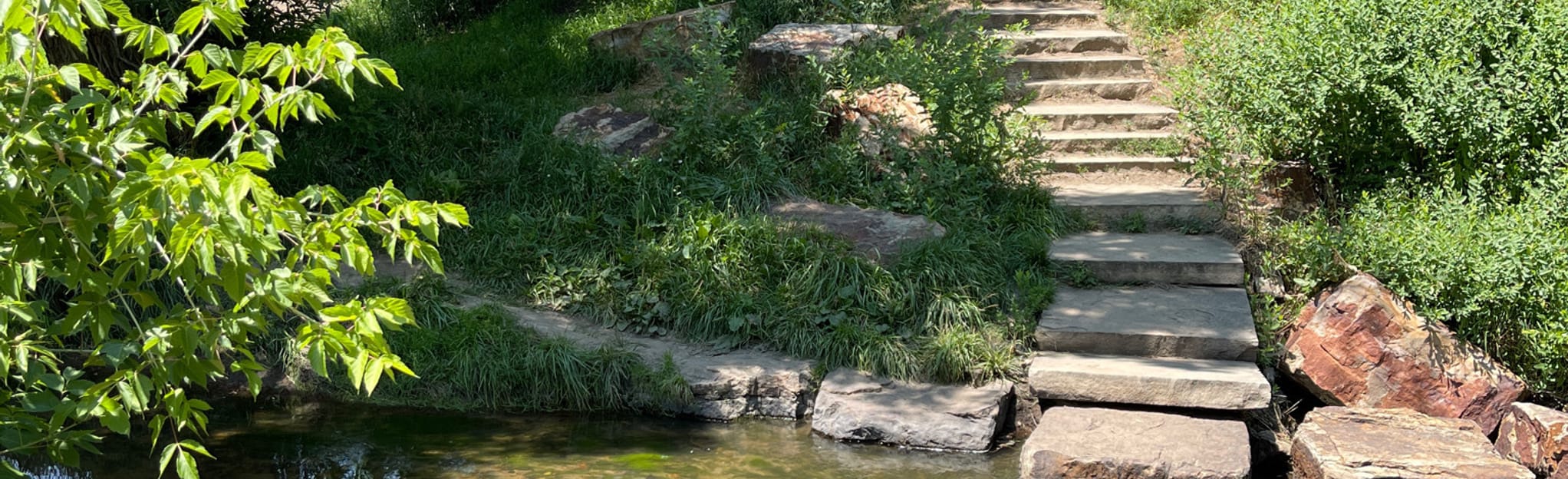 Jeffco Memorial Park Loop: 173 Reviews, Map - Colorado | AllTrails