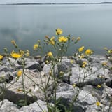 Findlay Reservoir #1 and #2, Ohio - 189 Reviews, Map | AllTrails