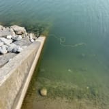 Findlay Reservoir #1 and #2, Ohio - 189 Reviews, Map | AllTrails