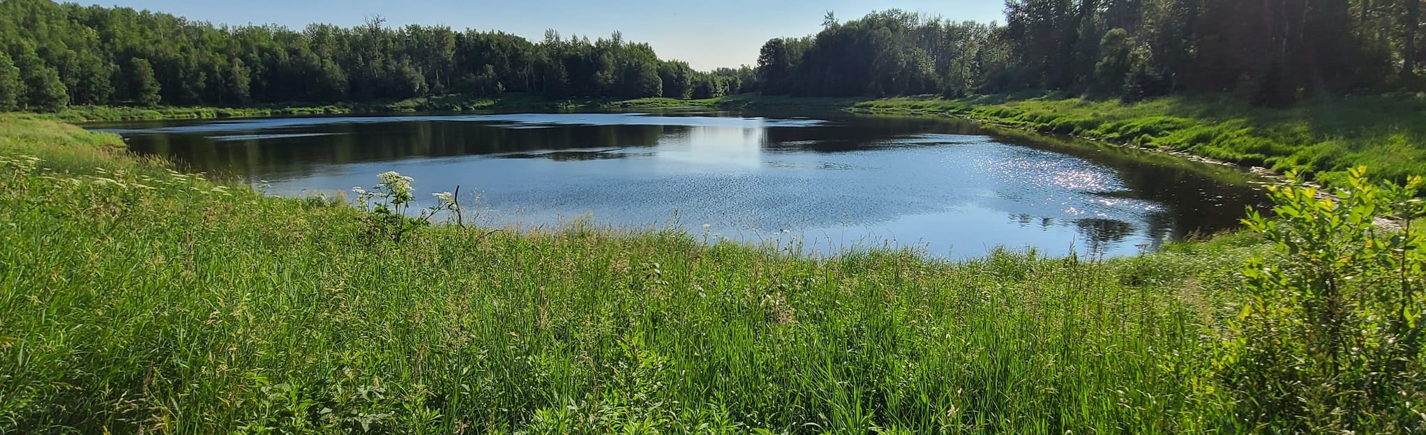 Chickakoo Lake Outer Loop: 602 Reviews, Map - Alberta, Canada | AllTrails