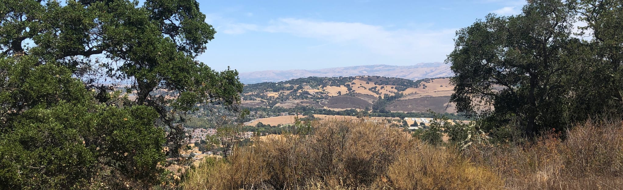 Buena Vista Trail to Virl O Norton Trail Loop: 370 Reviews, Map ...