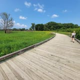 Fort Hill Trail, Illinois - 398 Reviews, Map | AllTrails